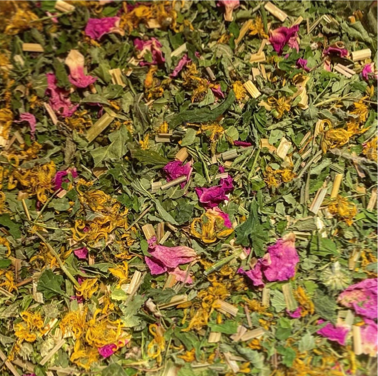 Nervine Nourish- Tea Blend – Mountainfarm Herbs